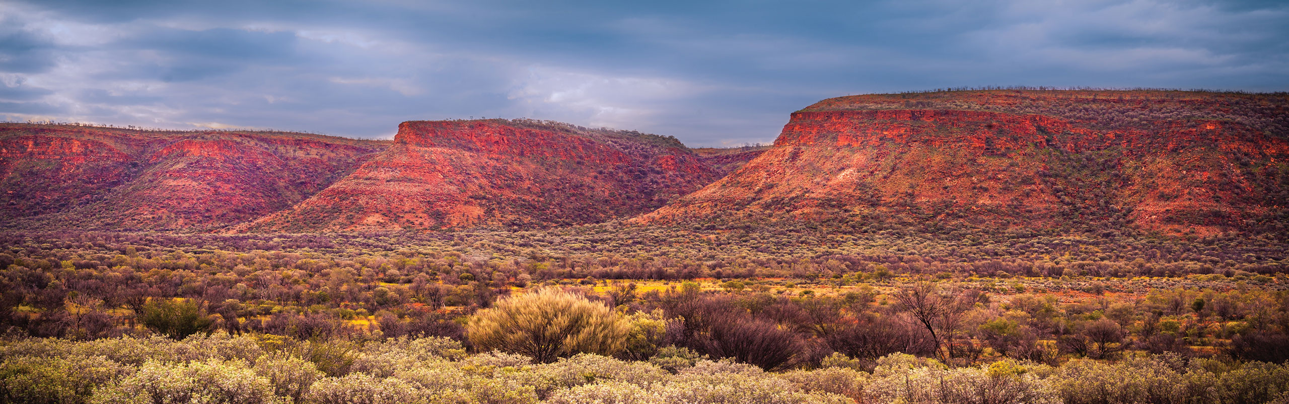 Student Tours to Central Australia - WorldStrides Australia