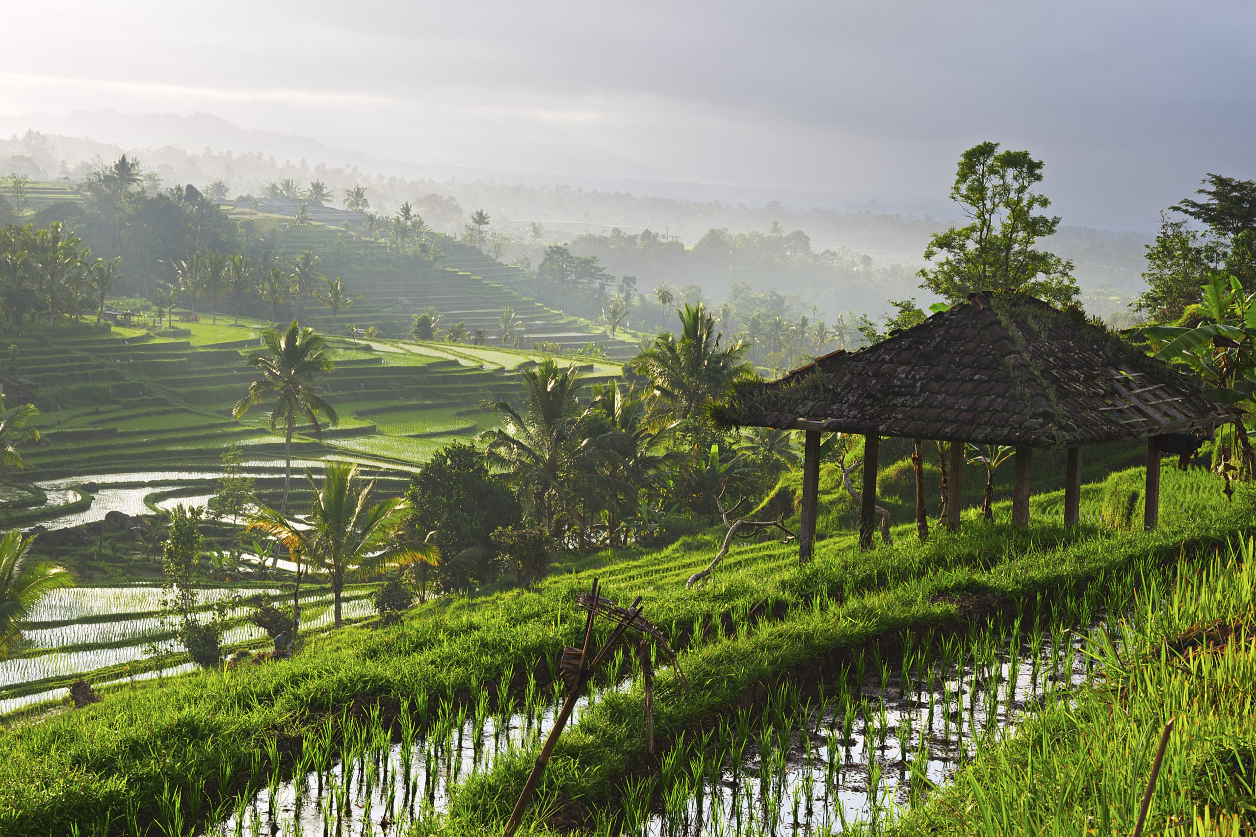 Language tours in Indonesia - Java & Bali - WorldStrides Australia